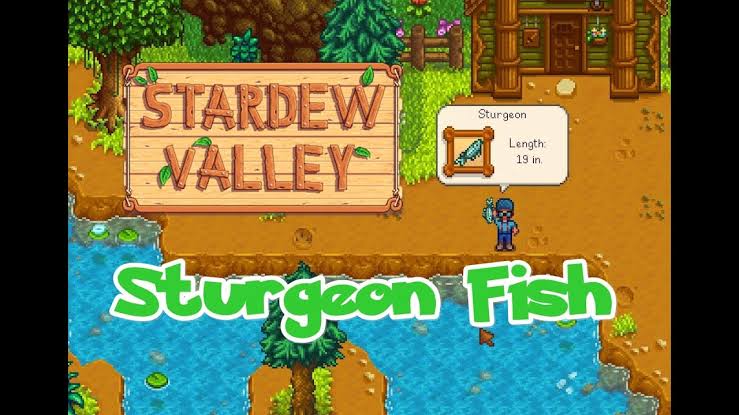 Sturgeon Stardew Valley, Exclusive Updates, and Stimulating Facts ...